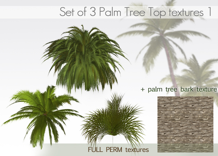Second Life Marketplace - Palm Tree Textures Set 01 - Top and Bark